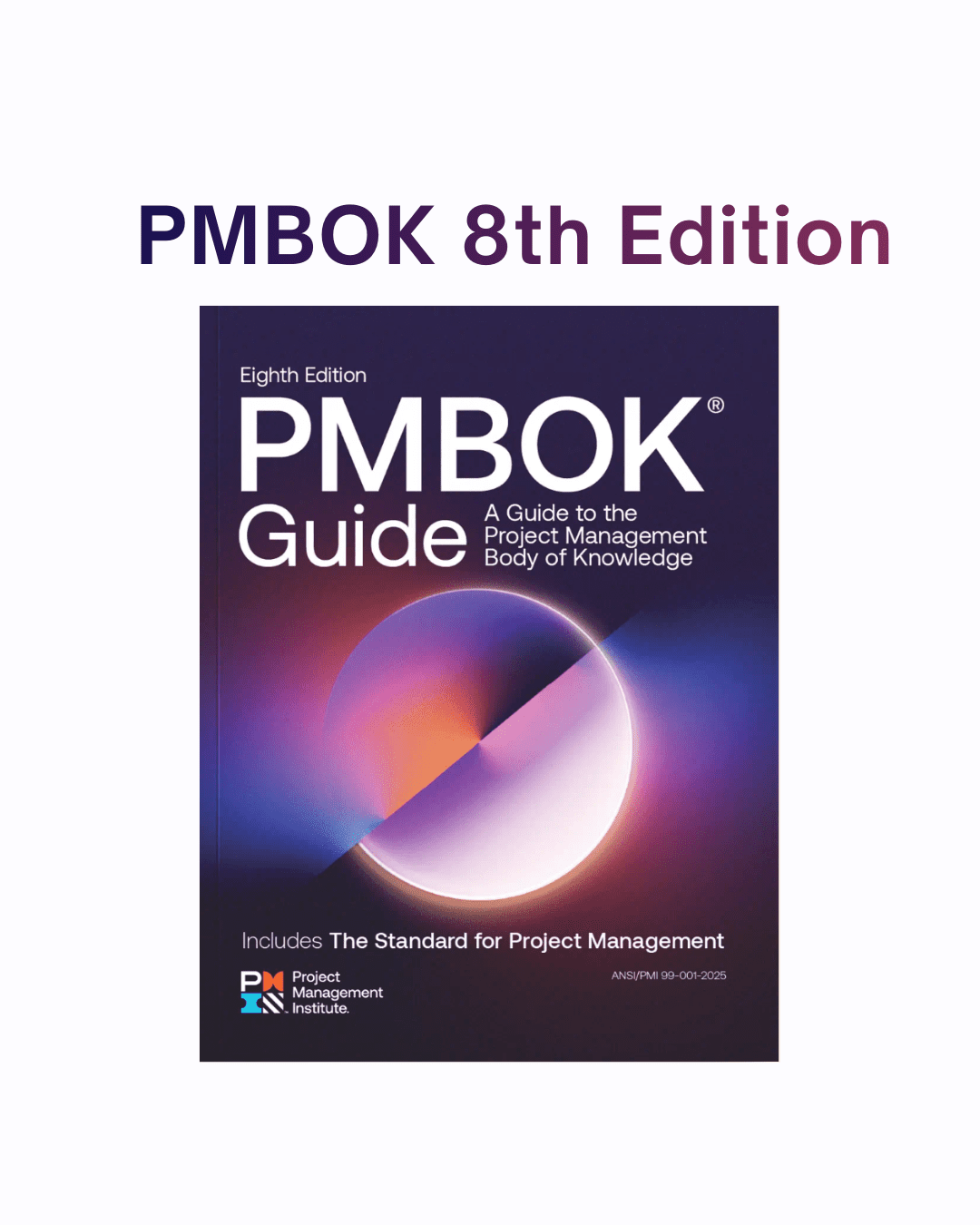 The PMBOK Guide 8th Edition - Stormwind by Peak Business